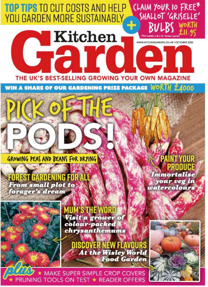 Kitchen Garden | October 2022 | Single Issue | Classic Magazines